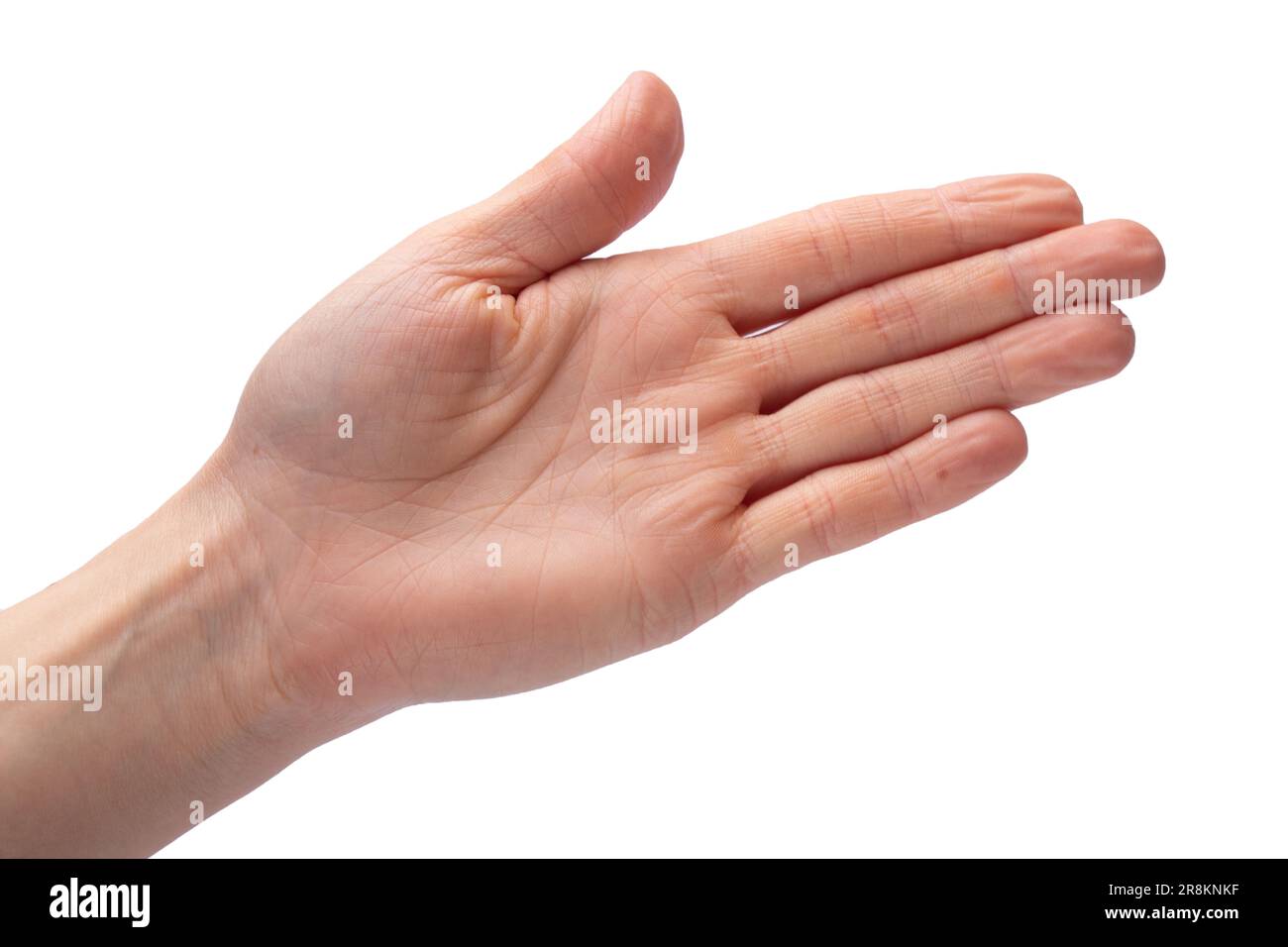 female hand on a white background Stock Photo - Alamy
