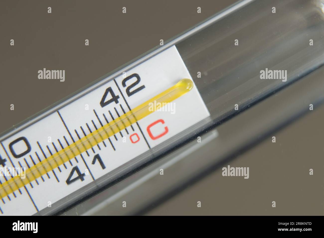 glass alcohol medical thermometer on an isolated background Stock Photo ...