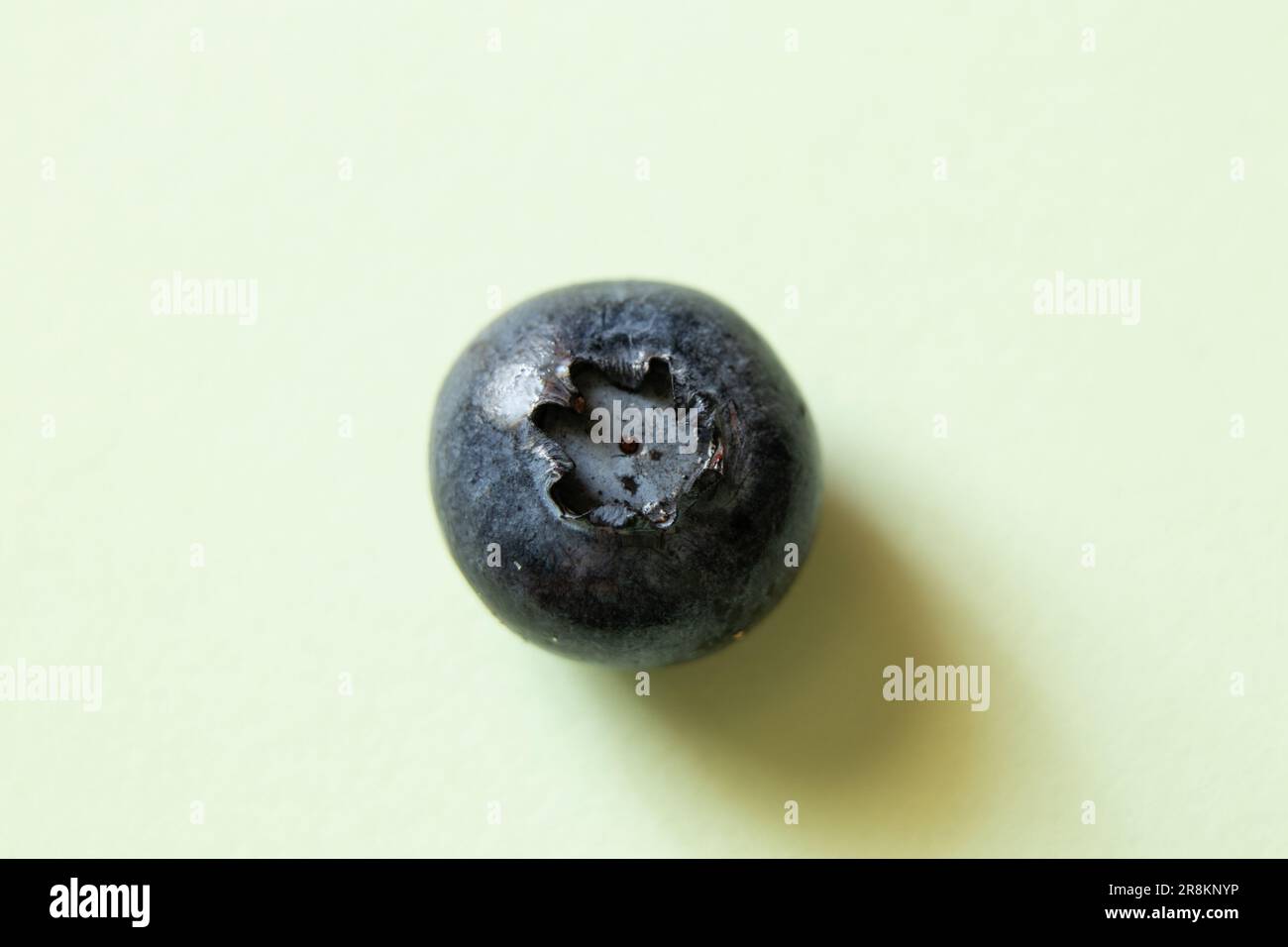 Light blueberry hi-res stock photography and images - Alamy