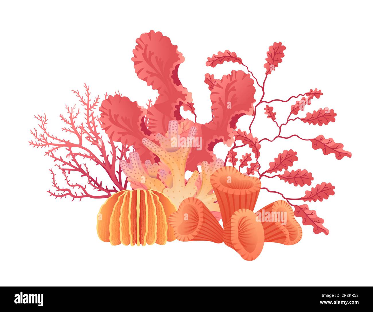 Plants and aquatic marine seaweed vector illustration isolated on white background Stock Vector ...
