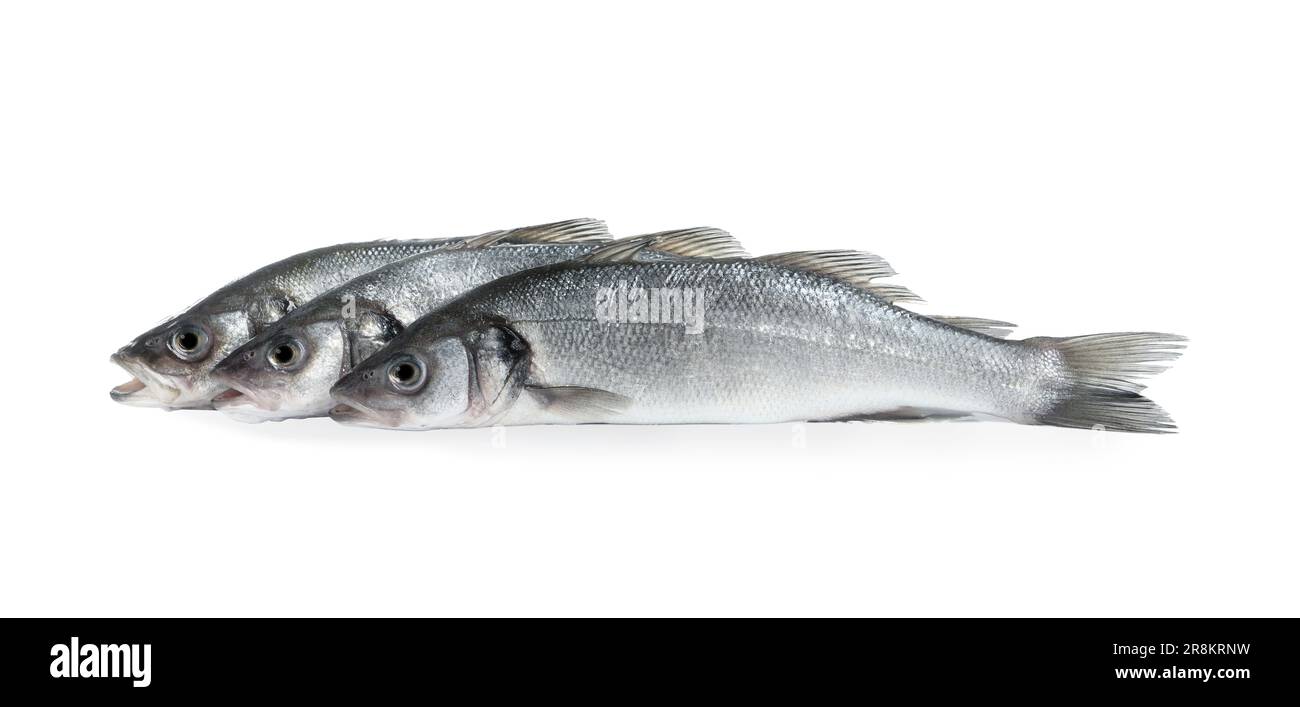 Sale of sea bass Cut Out Stock Images & Pictures - Alamy