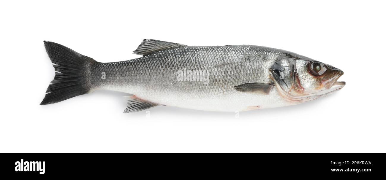 Fresh sea bass fish isolated on white, top view Stock Photo - Alamy