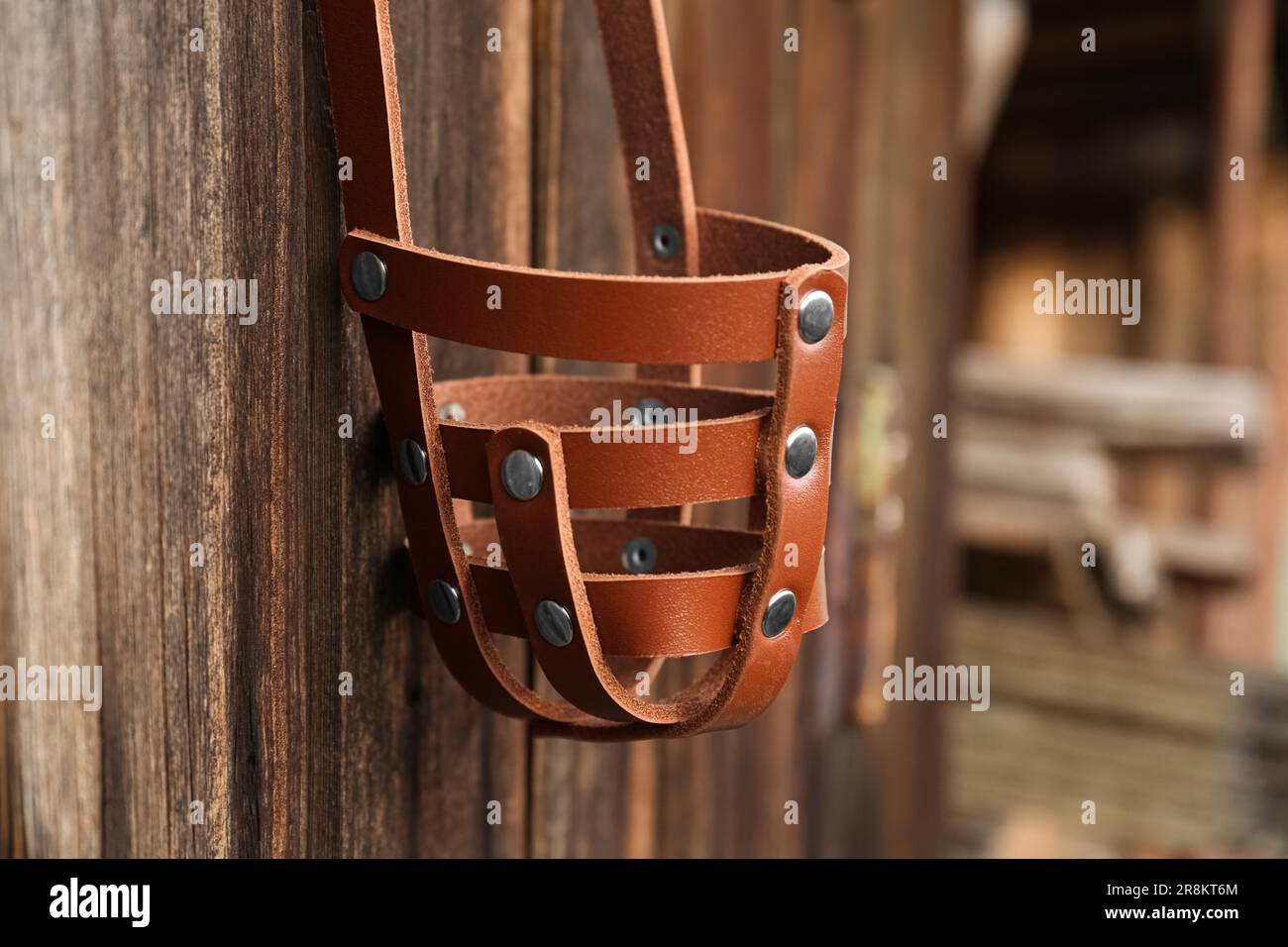 Brown dog muzzle hanging near wooden fence, closeup Stock Photo - Alamy