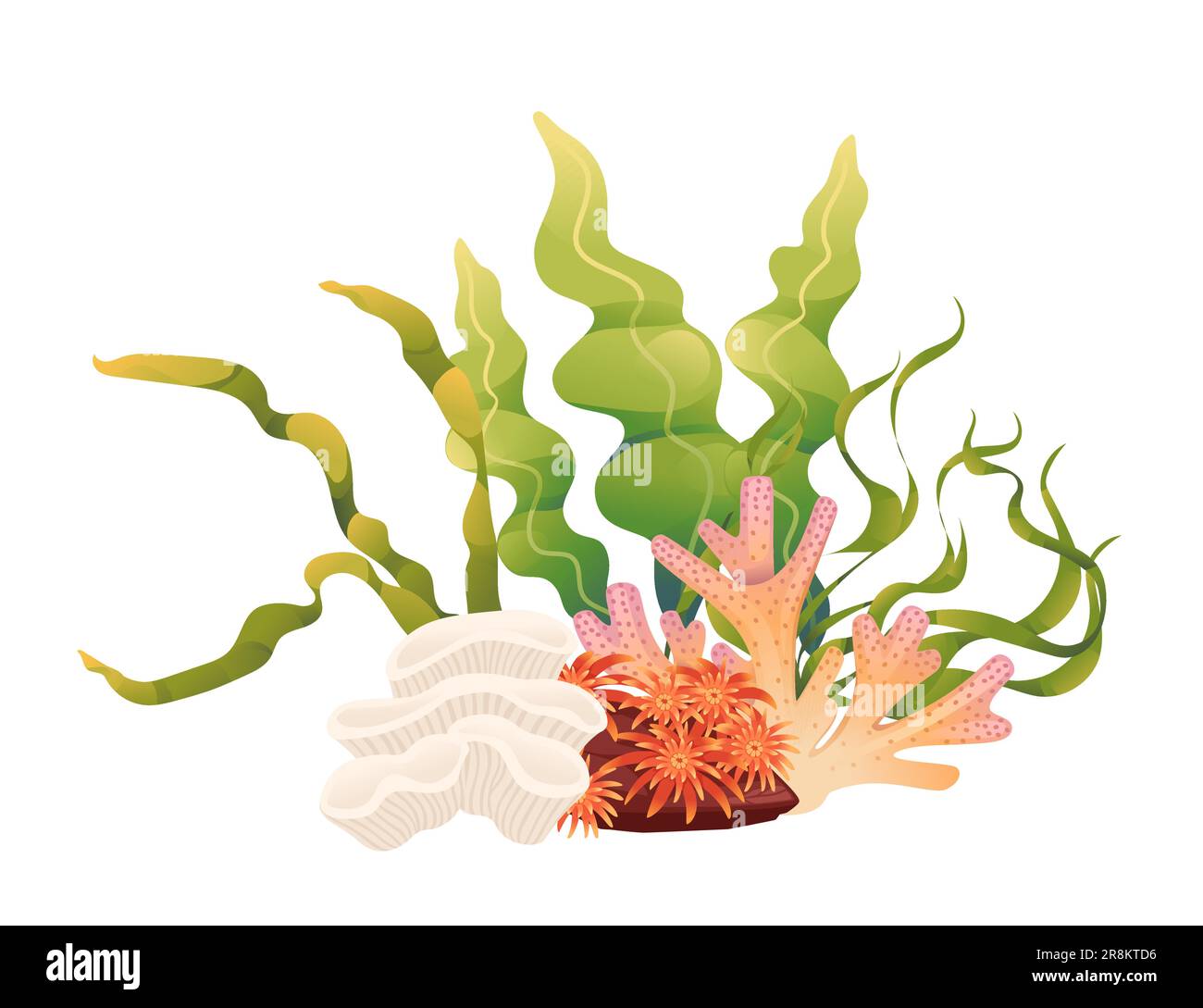Plants and aquatic marine seaweed vector illustration isolated on white background Stock Vector ...