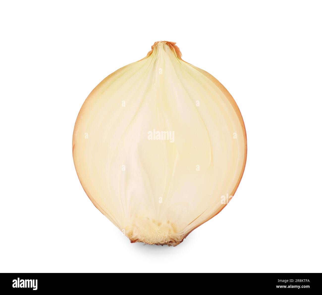 Half of fresh onion isolated on white Stock Photo - Alamy