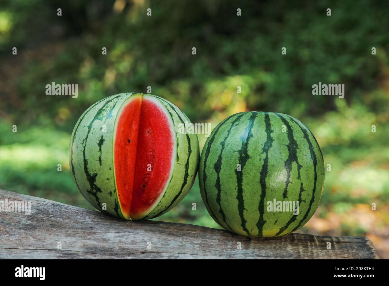 Delicious whole and cut watermelons on log outdoors Stock Photo - Alamy
