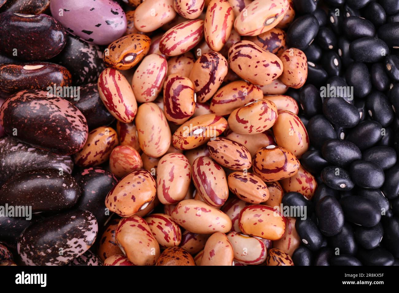 Different kinds of beans as background, closeup Stock Photo - Alamy