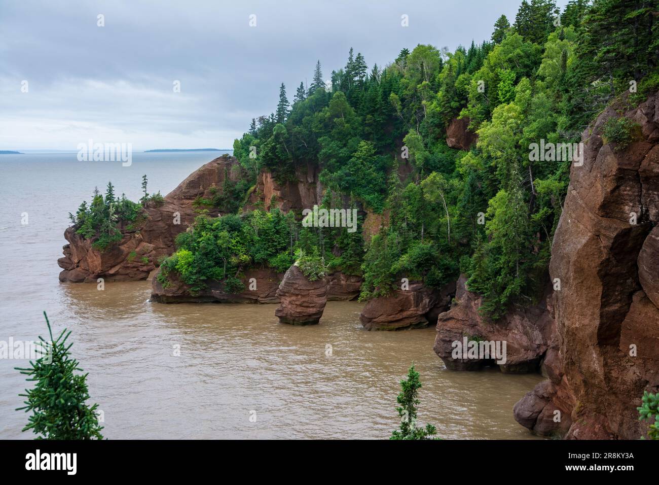 The bay of Fundy, New Brunswick.This bay is famous for having the ...