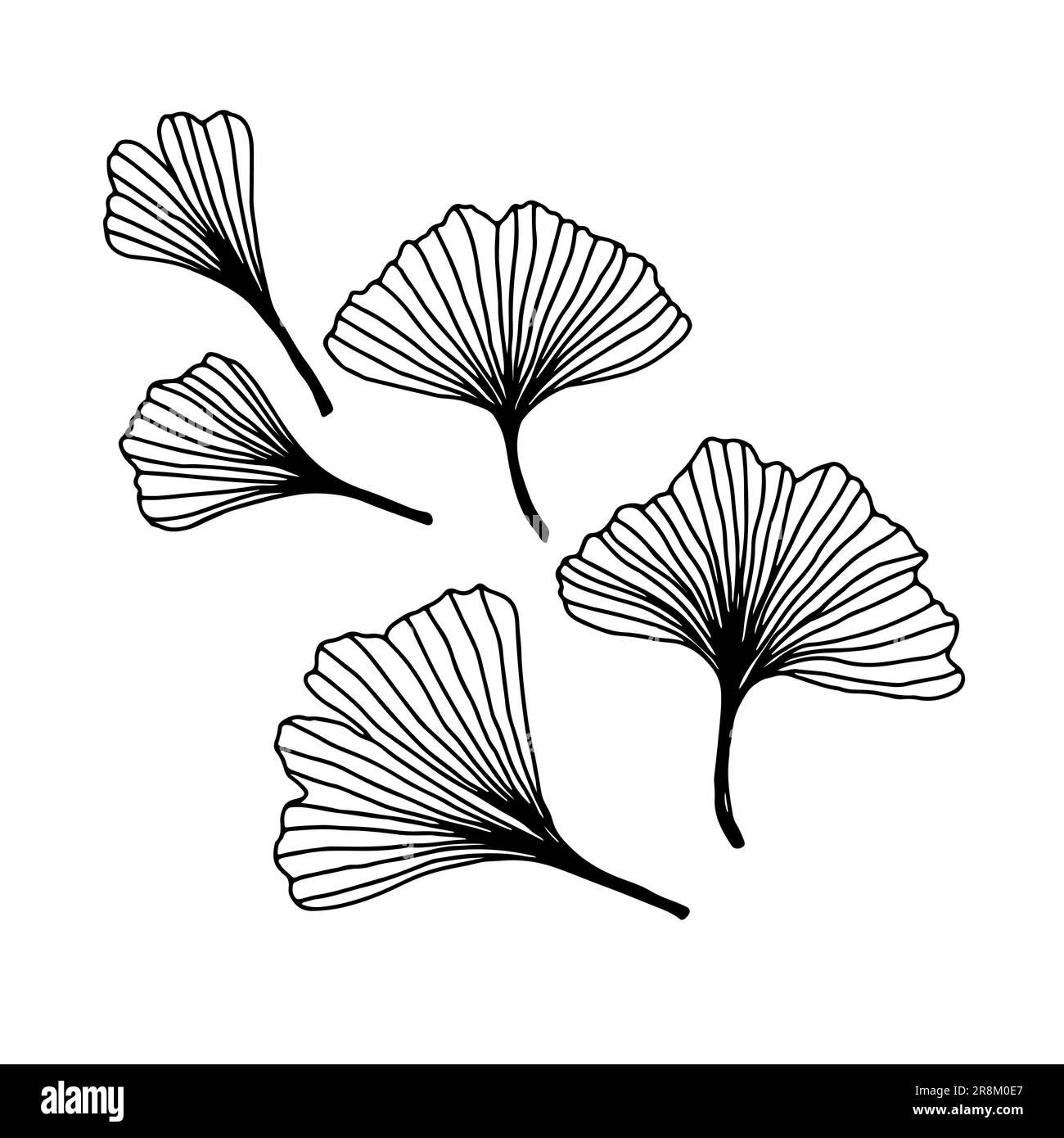 Black ink leaves, hand drawn elements on white background Stock Vector ...