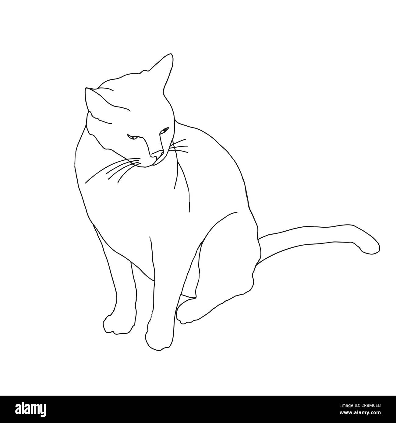Fluffy white cat watching Stock Vector Images - Alamy