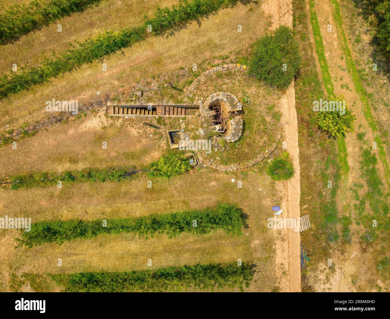 Sendero de arboles frutales hi-res stock photography and images - Alamy