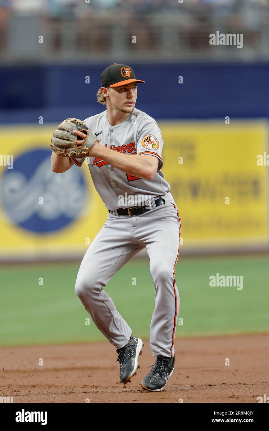 St. Petersburg, FL USA; Baltimore Orioles third baseman Gunnar ...