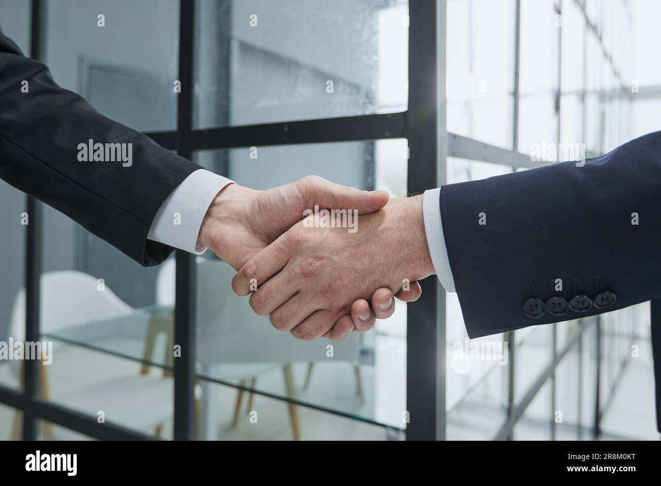 Portrait of elegant businessmen handshaking in conference hall Stock ...