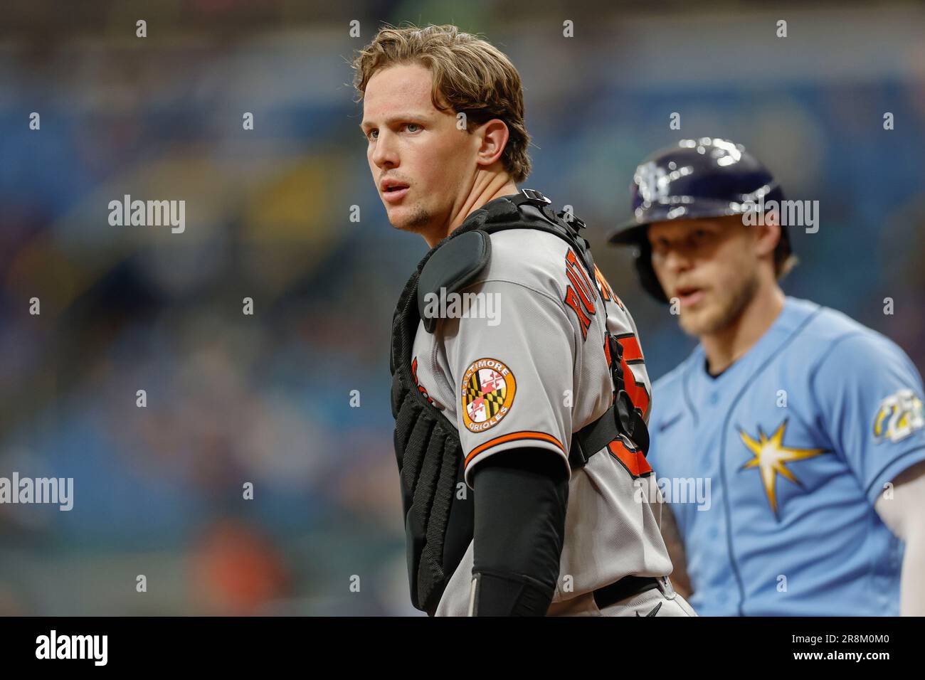 Adley rutschman hi-res stock photography and images - Alamy