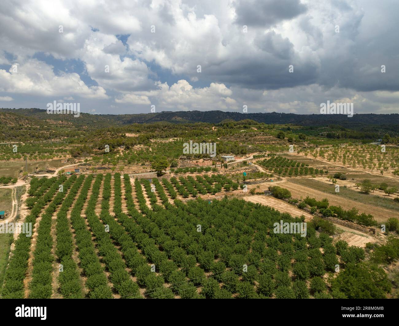 Tormenta de arboles hi-res stock photography and images - Alamy