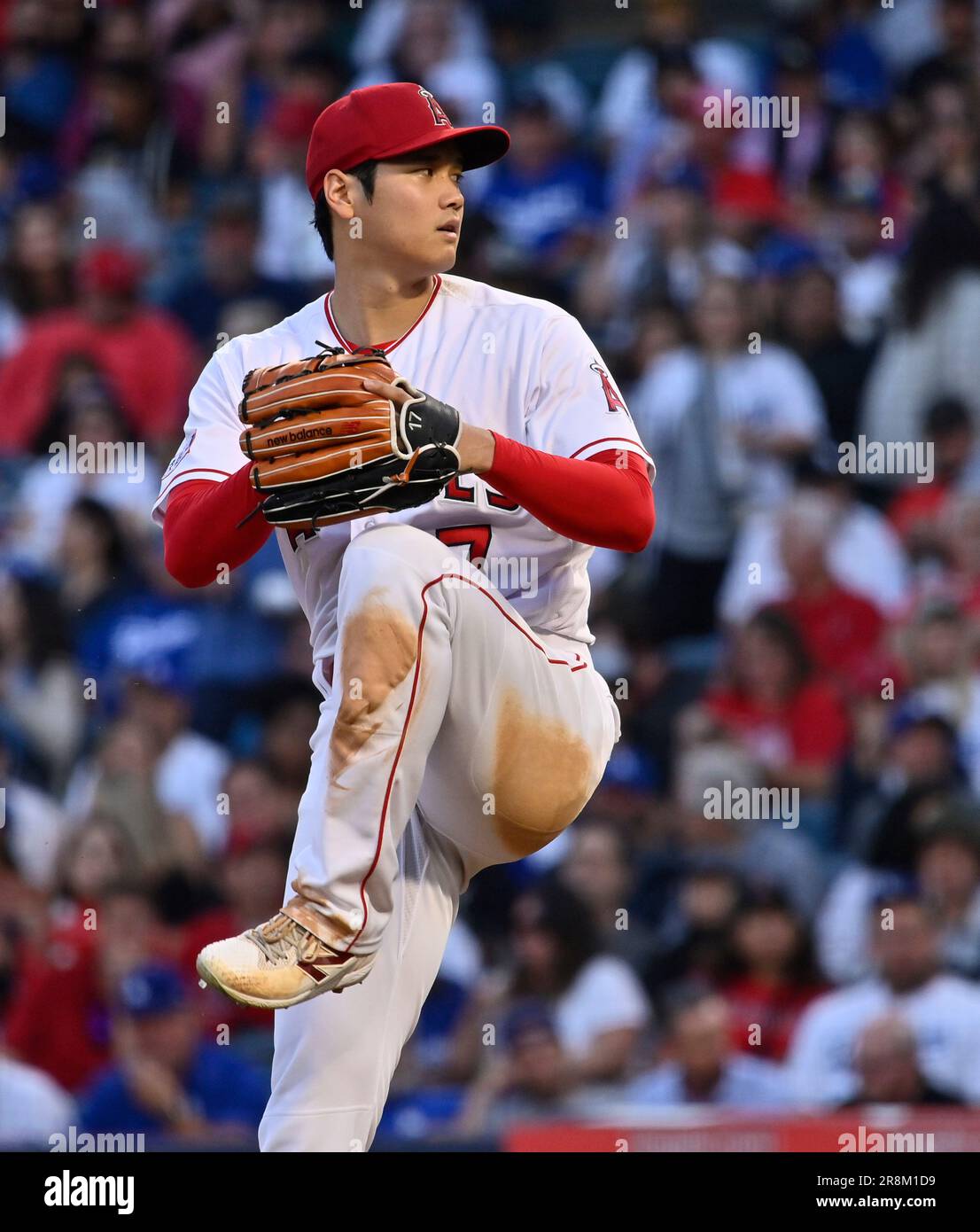 Shohei ohtani dodgers hi-res stock photography and images - Alamy