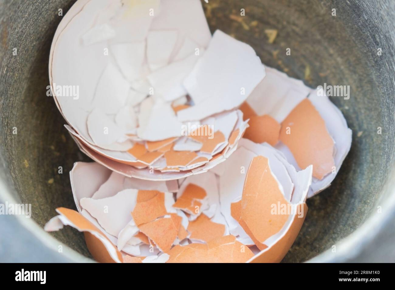 Grtexture hi-res stock photography and images - Alamy