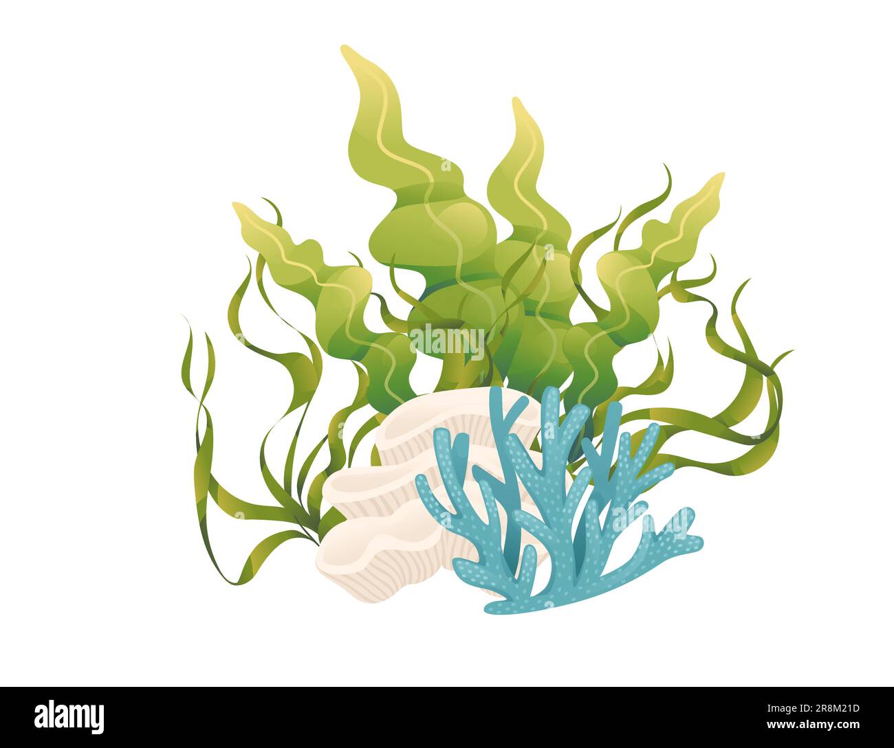 Plants and aquatic marine seaweed vector illustration isolated on white background Stock Vector ...