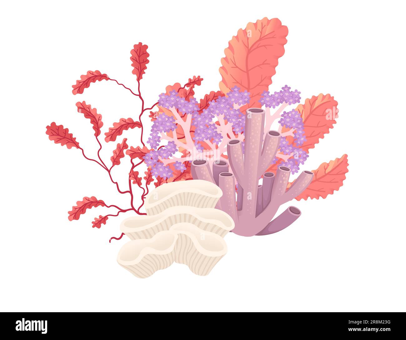 Plants and aquatic marine seaweed vector illustration isolated on white background Stock Vector ...