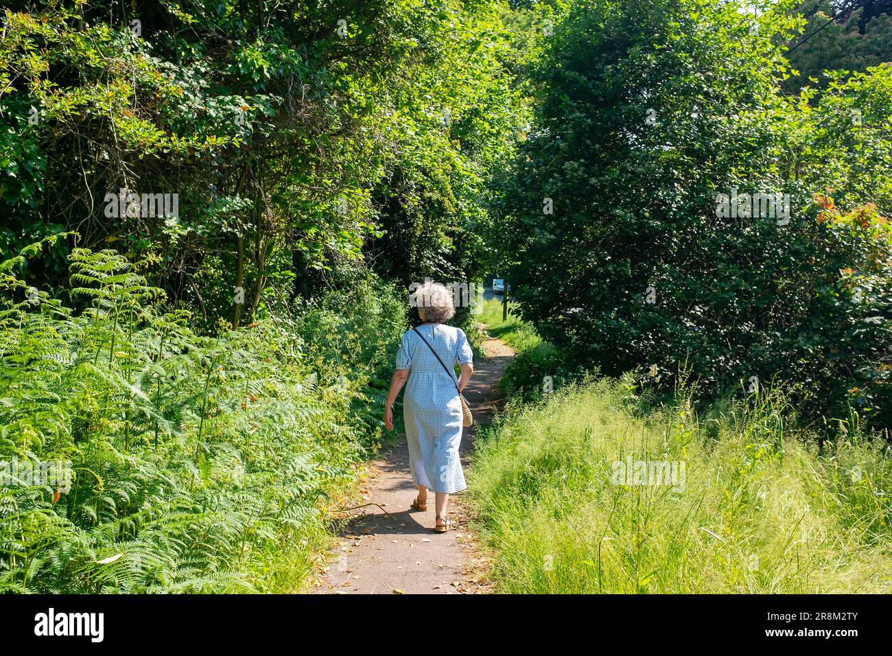 Rye East Sussex , England UK - Woman walking through countryside path ...