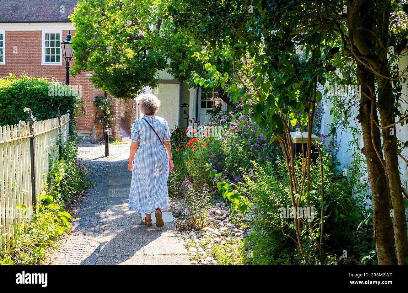 Rye East Sussex , England UK - Beautiful summer flowers outside ...