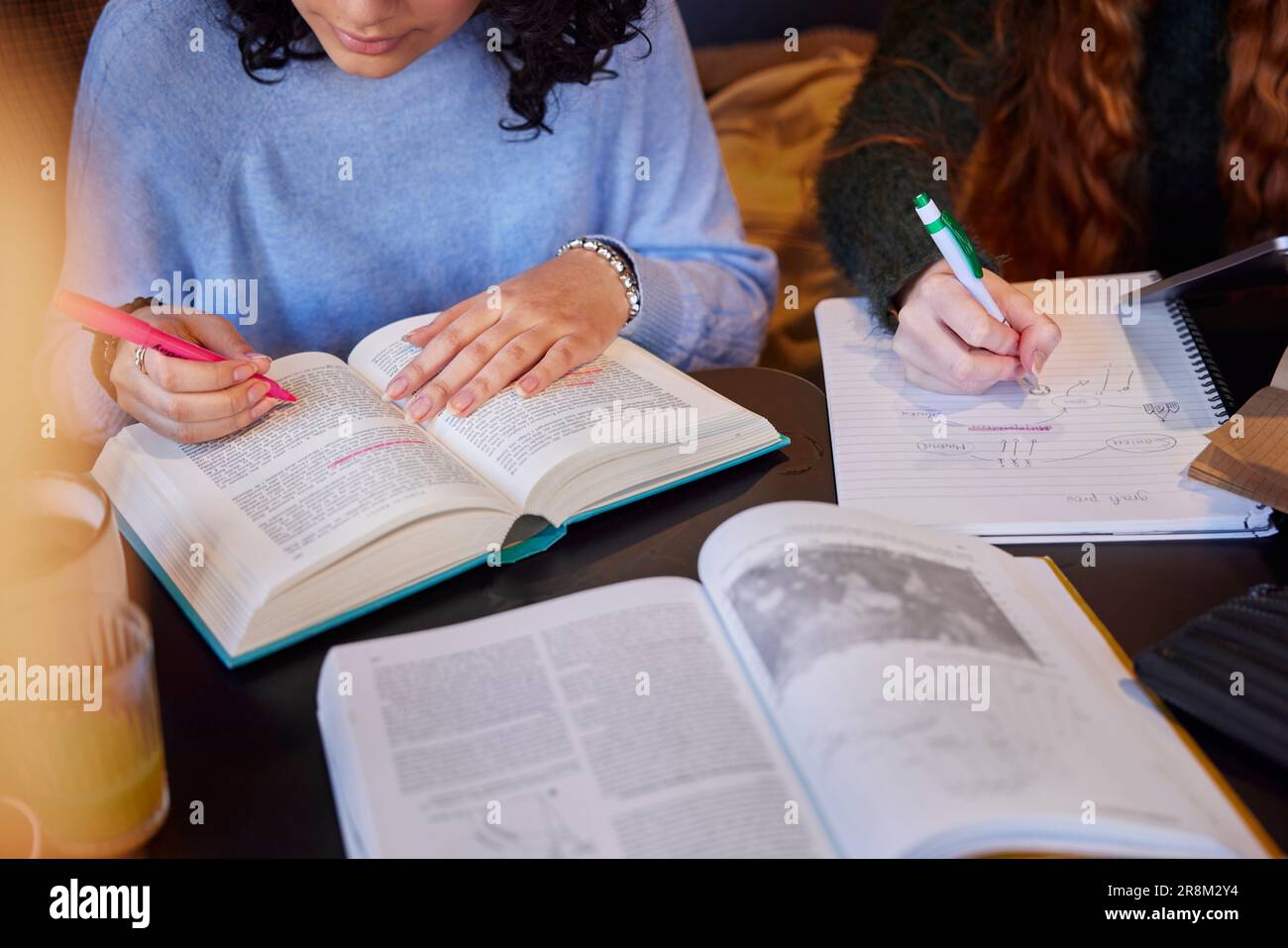 Young women making highlights and notes while studying Stock Photo - Alamy
