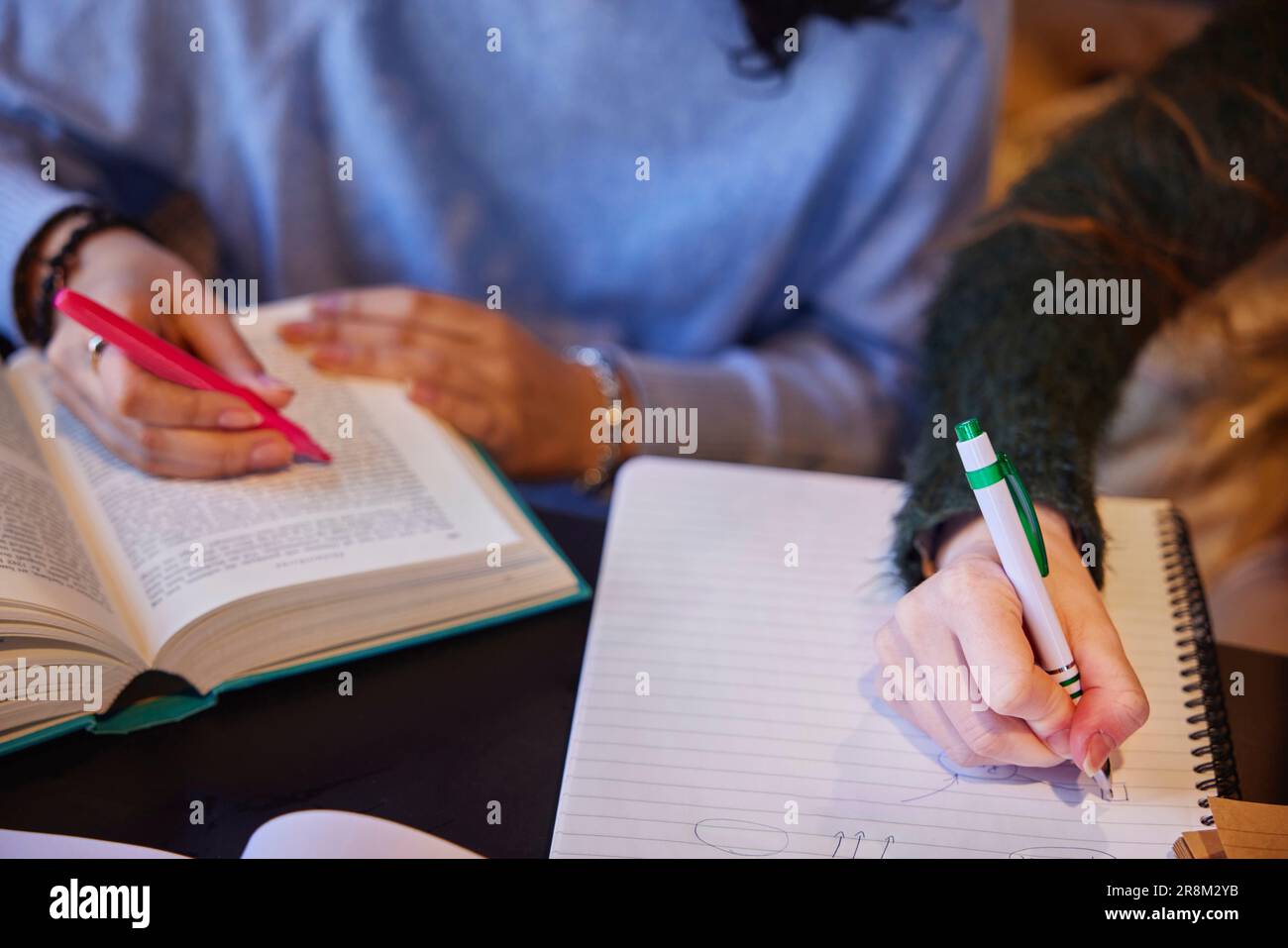 Young women making highlights and notes while studying Stock Photo - Alamy