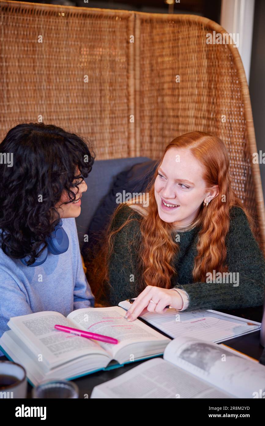 Smiling young women studying together Stock Photo - Alamy