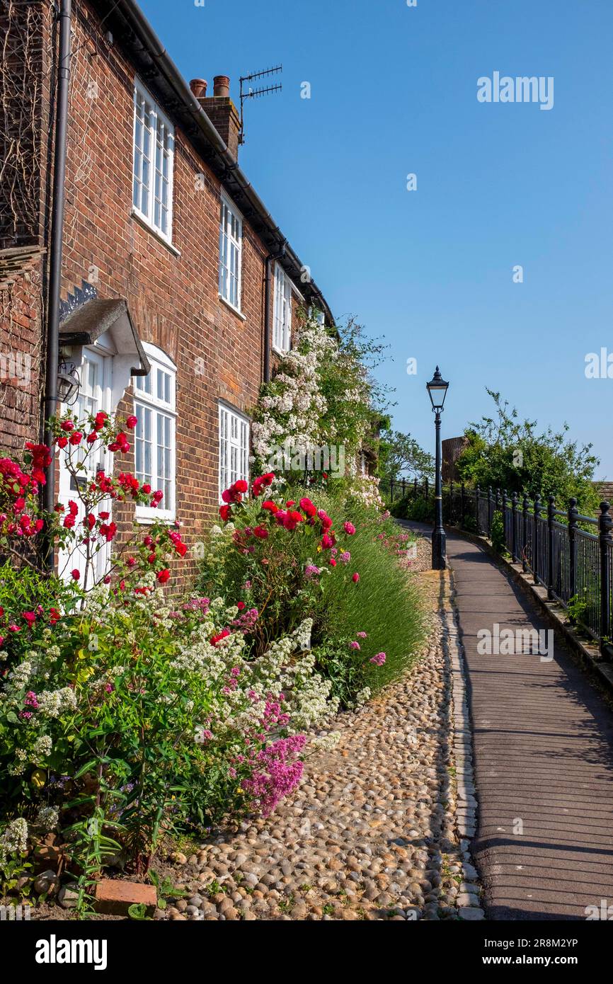 Rye East Sussex , England UK - Beautiful roses in full bloom outside ...