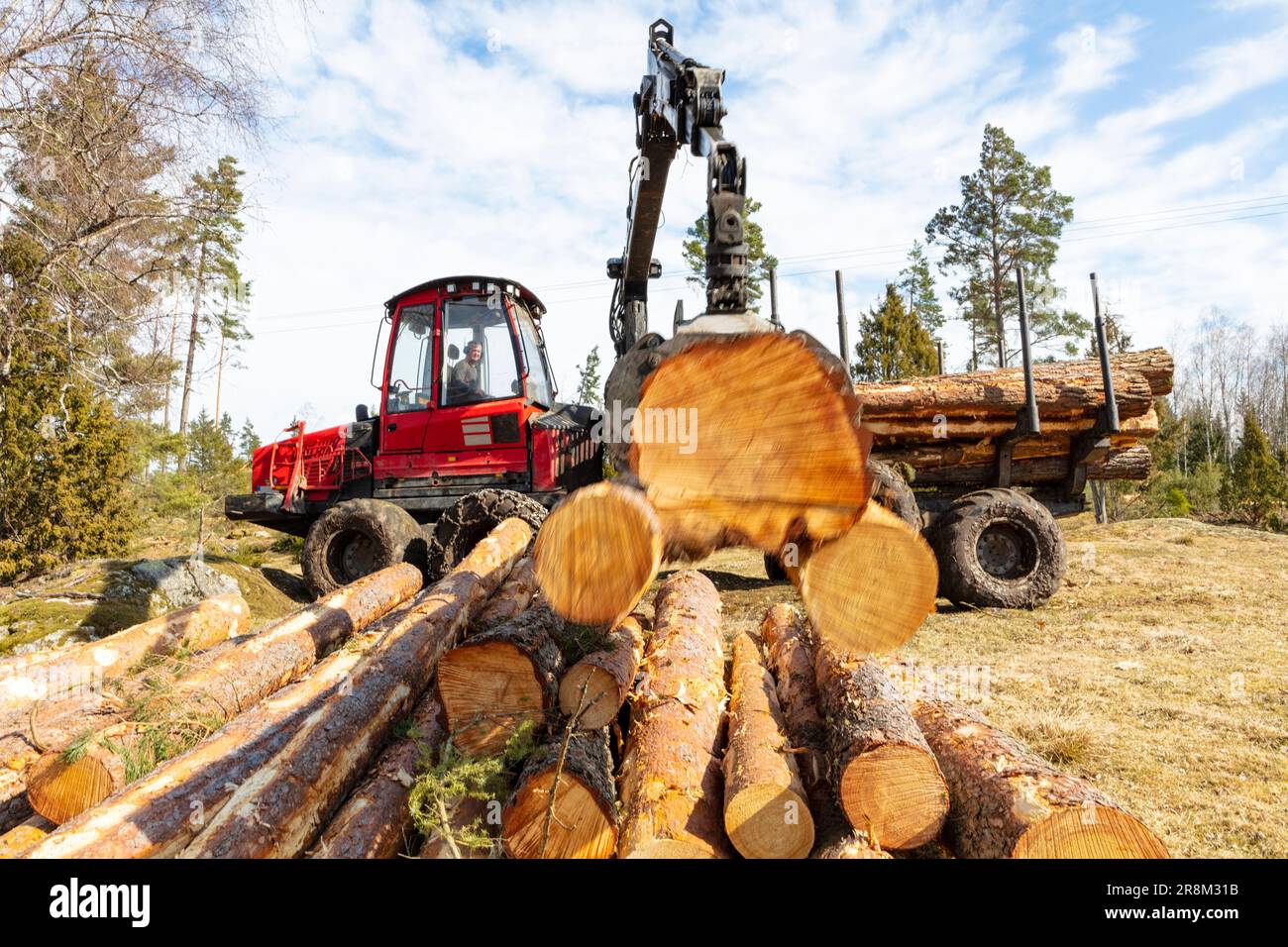 Forest machine loading tree logs Stock Photo - Alamy