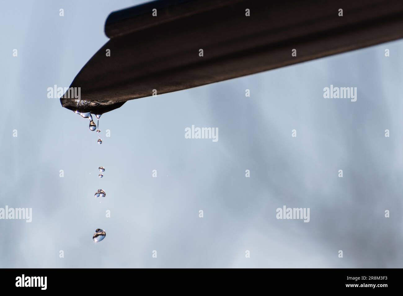 Drops dripping hi-res stock photography and images - Alamy