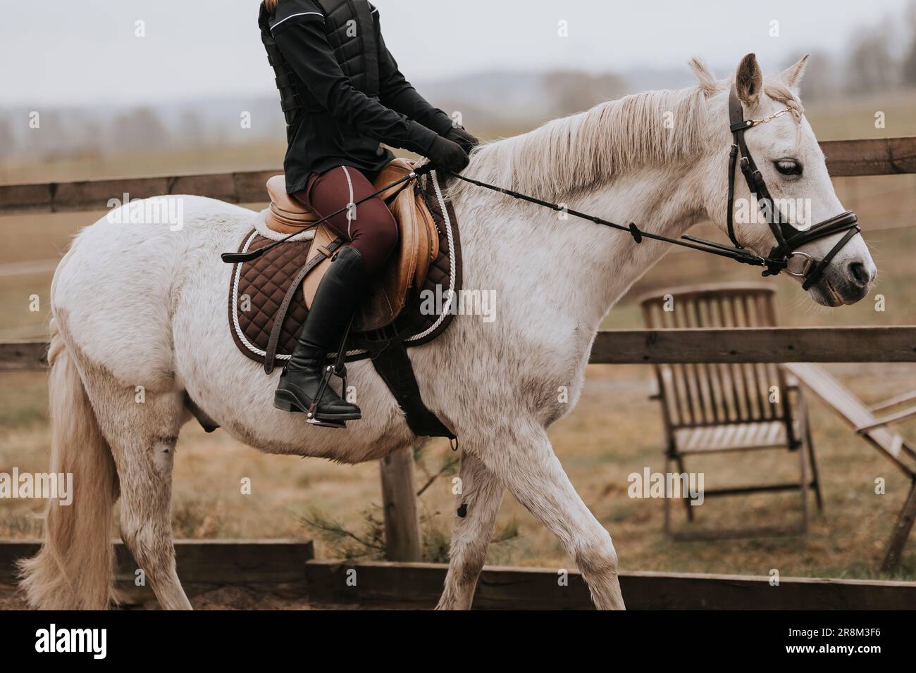 Low section of woman riding horse Stock Photo - Alamy