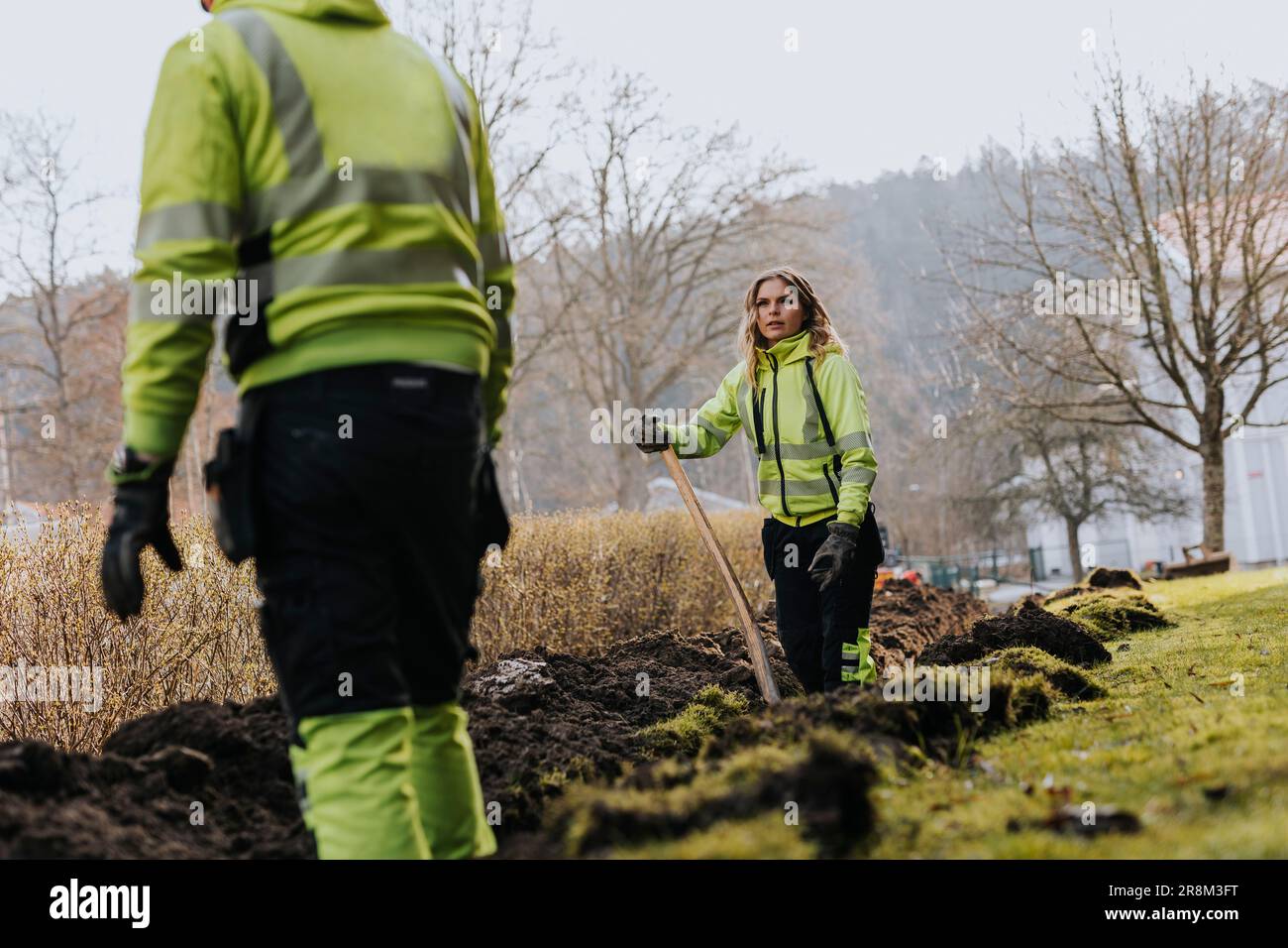 Male and female workers digging trench Stock Photo - Alamy