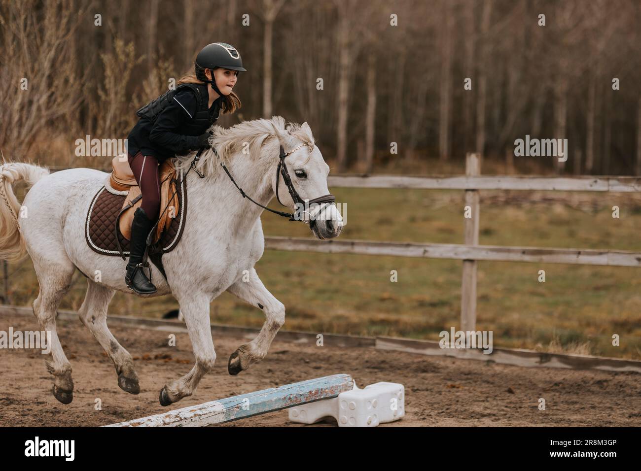 View of girl horseback riding Stock Photo - Alamy