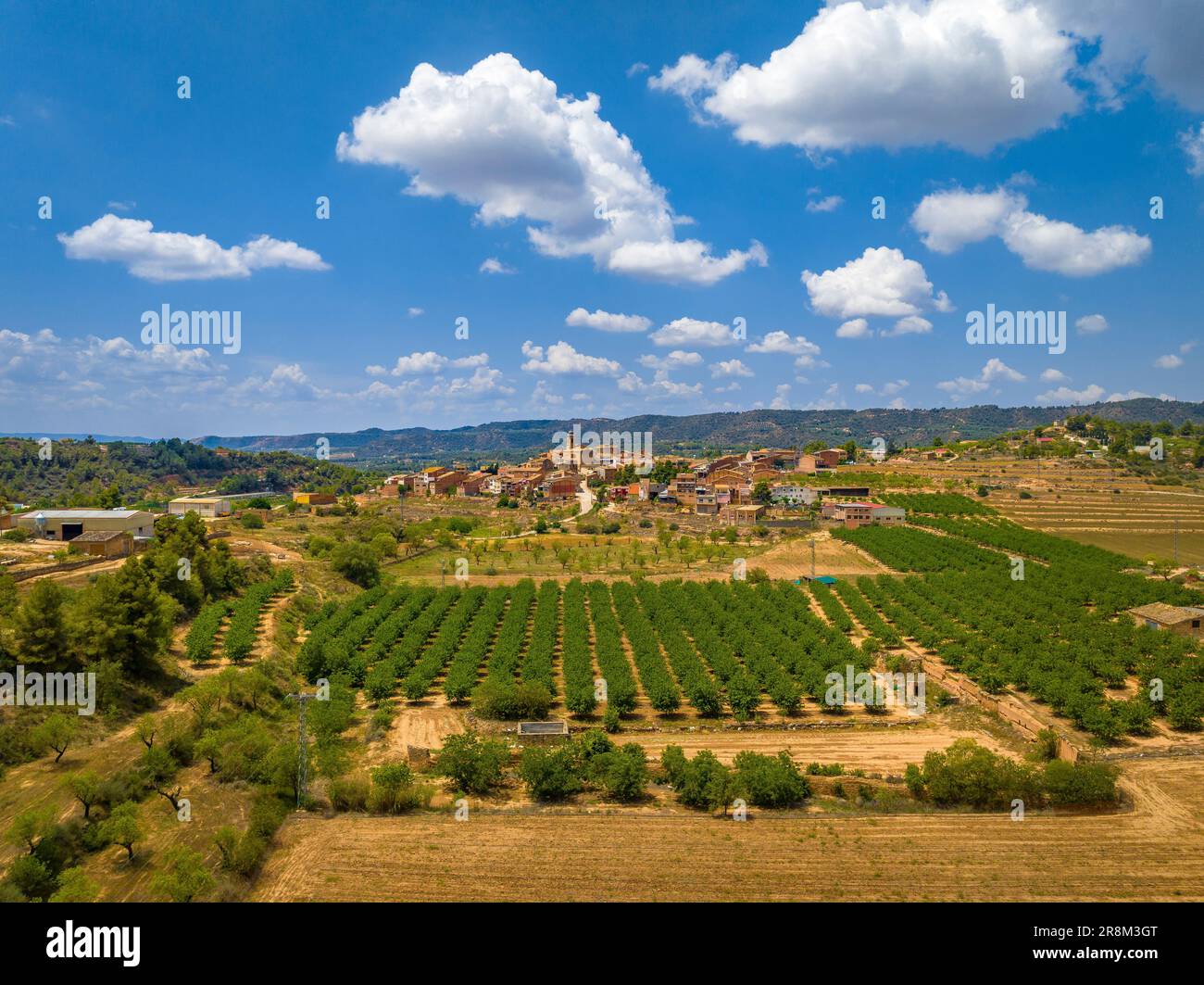 Vista aerea de arboles hi-res stock photography and images - Alamy