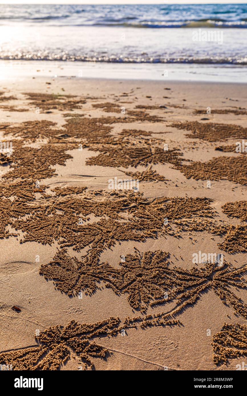 Small sand balls made by wind crabs after hole digging on beach Stock ...