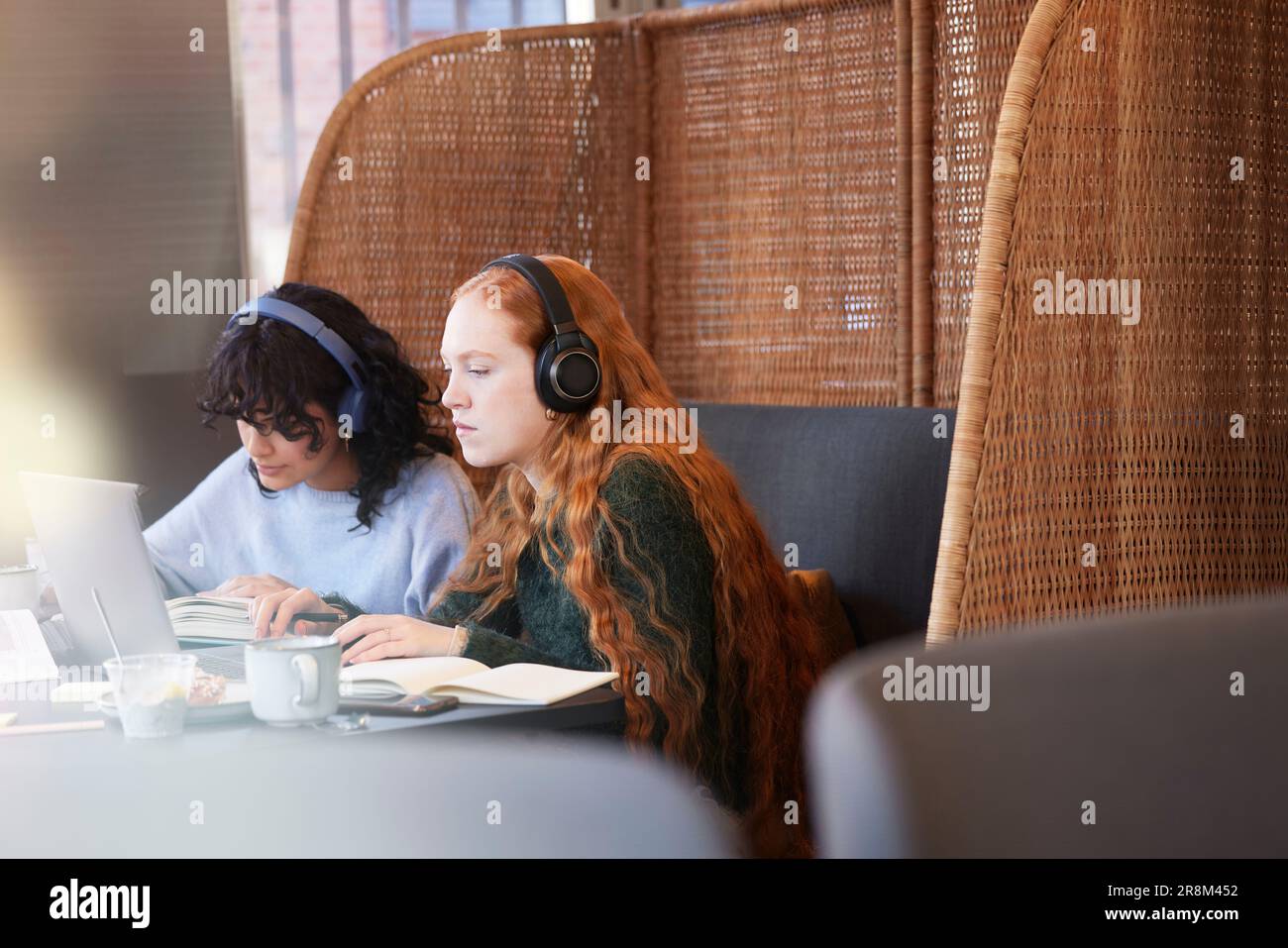 Female laptop user using computer hi-res stock photography and images ...