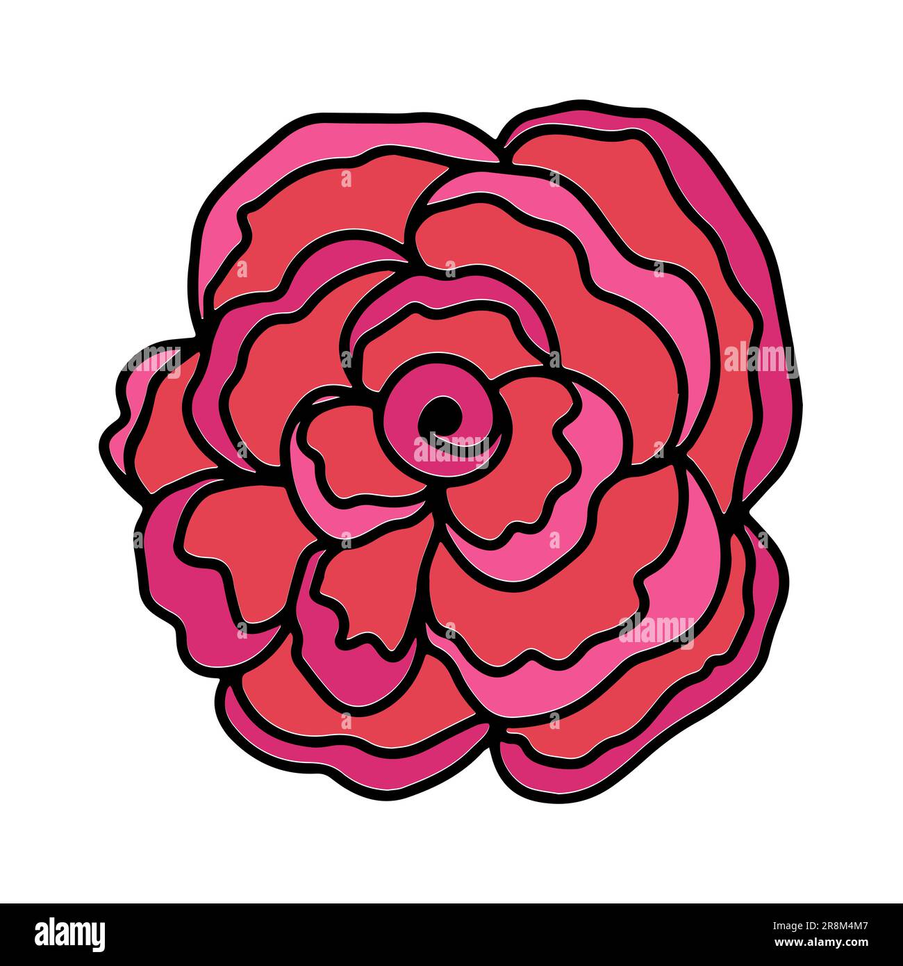 Rose flower head. Floral botanical flower. Hand drawn ink art. Isolated ...