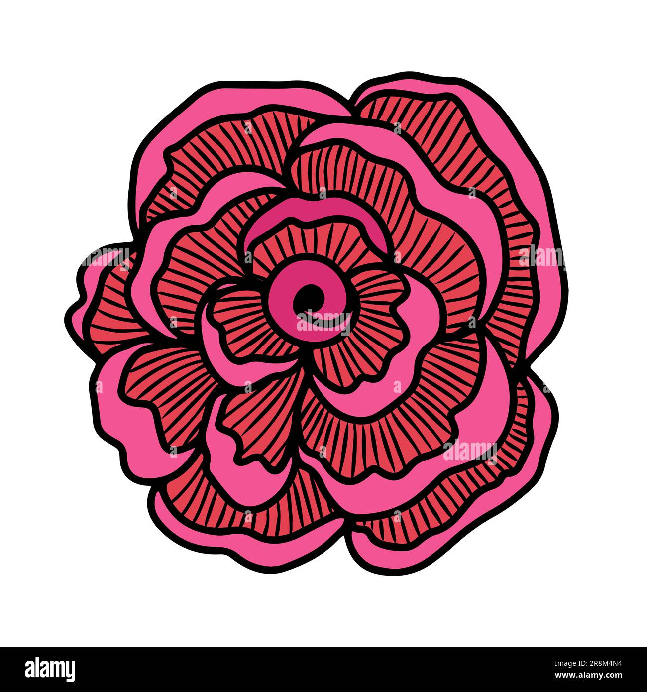 Rose flower head. Floral botanical flower. Hand drawn ink art. Isolated ...