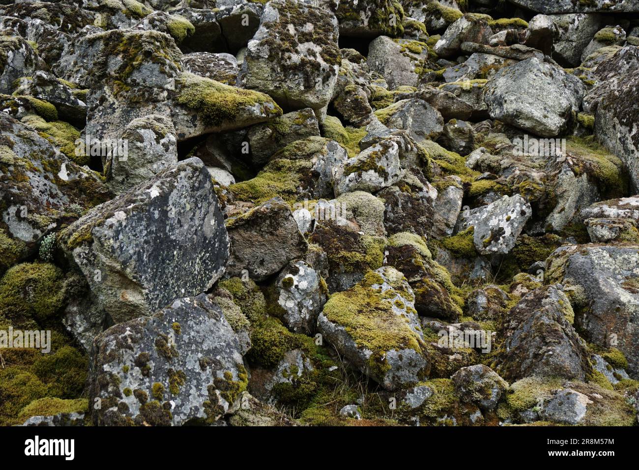 Moss covered ruins hi-res stock photography and images - Alamy