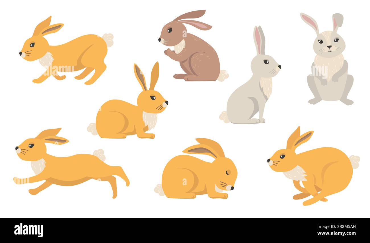 Cartoon rabbits set Stock Vector Image & Art - Alamy