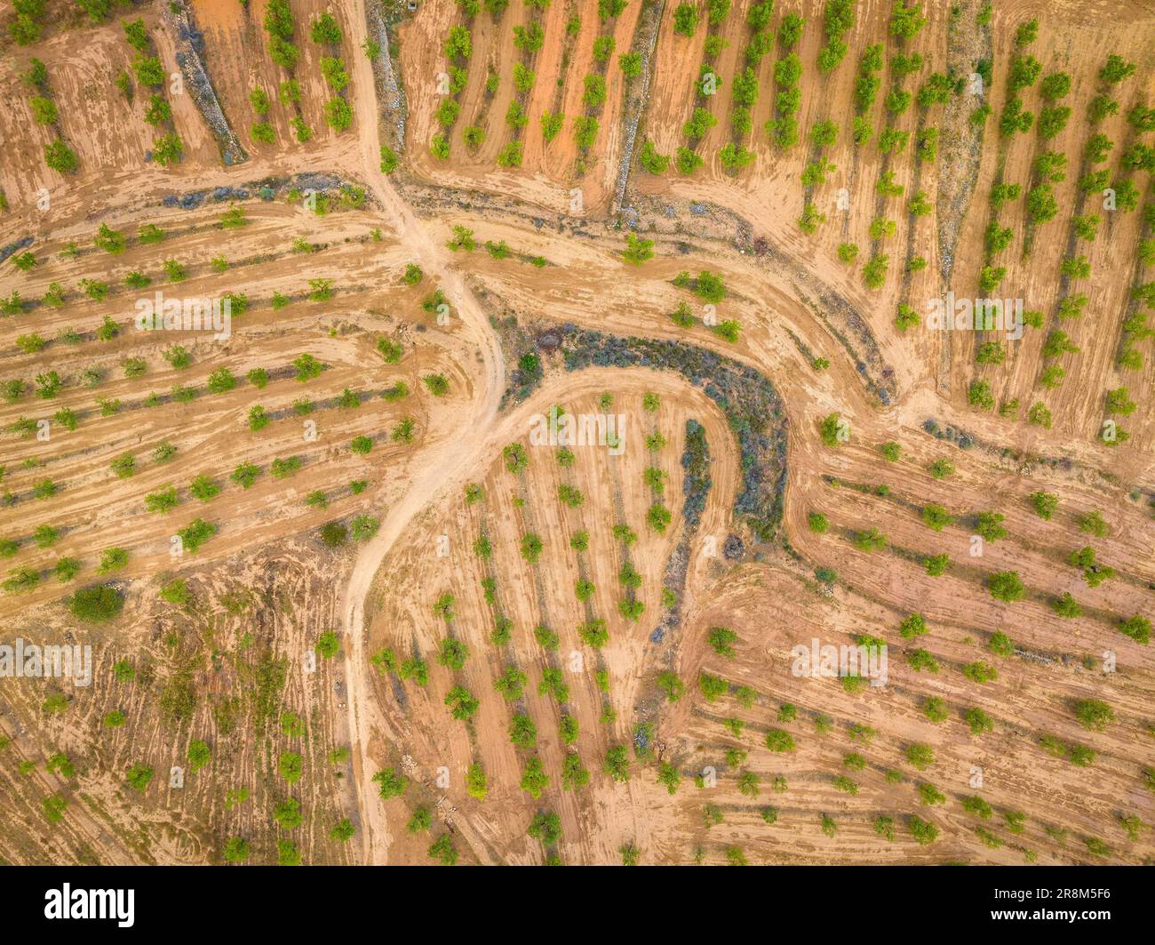 Sendero de arboles frutales hi-res stock photography and images - Alamy