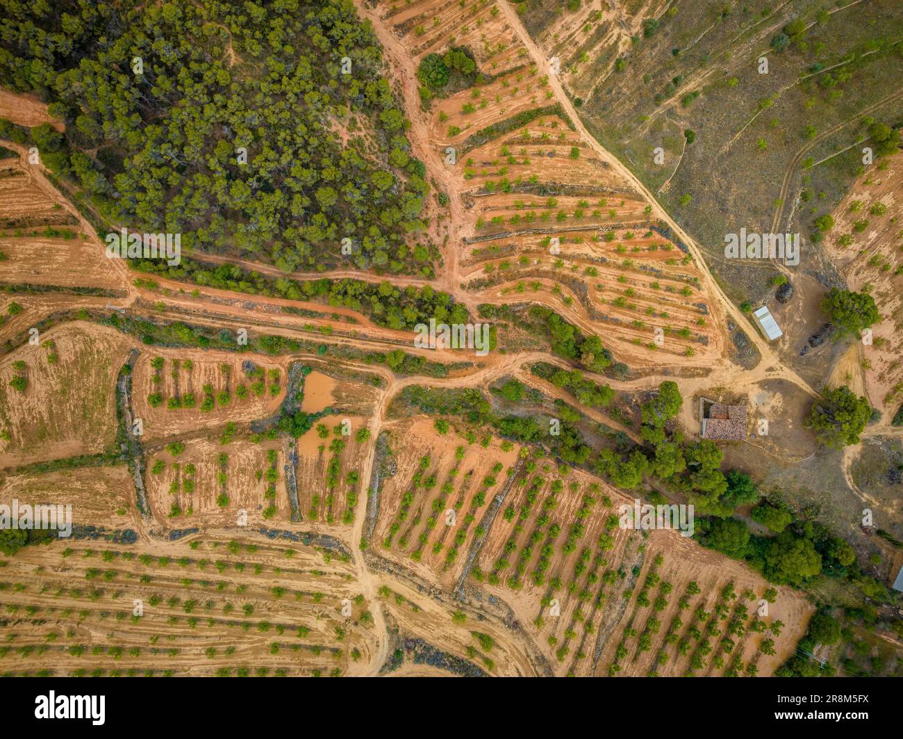 Paisaje forestal camino rural hi-res stock photography and images - Alamy