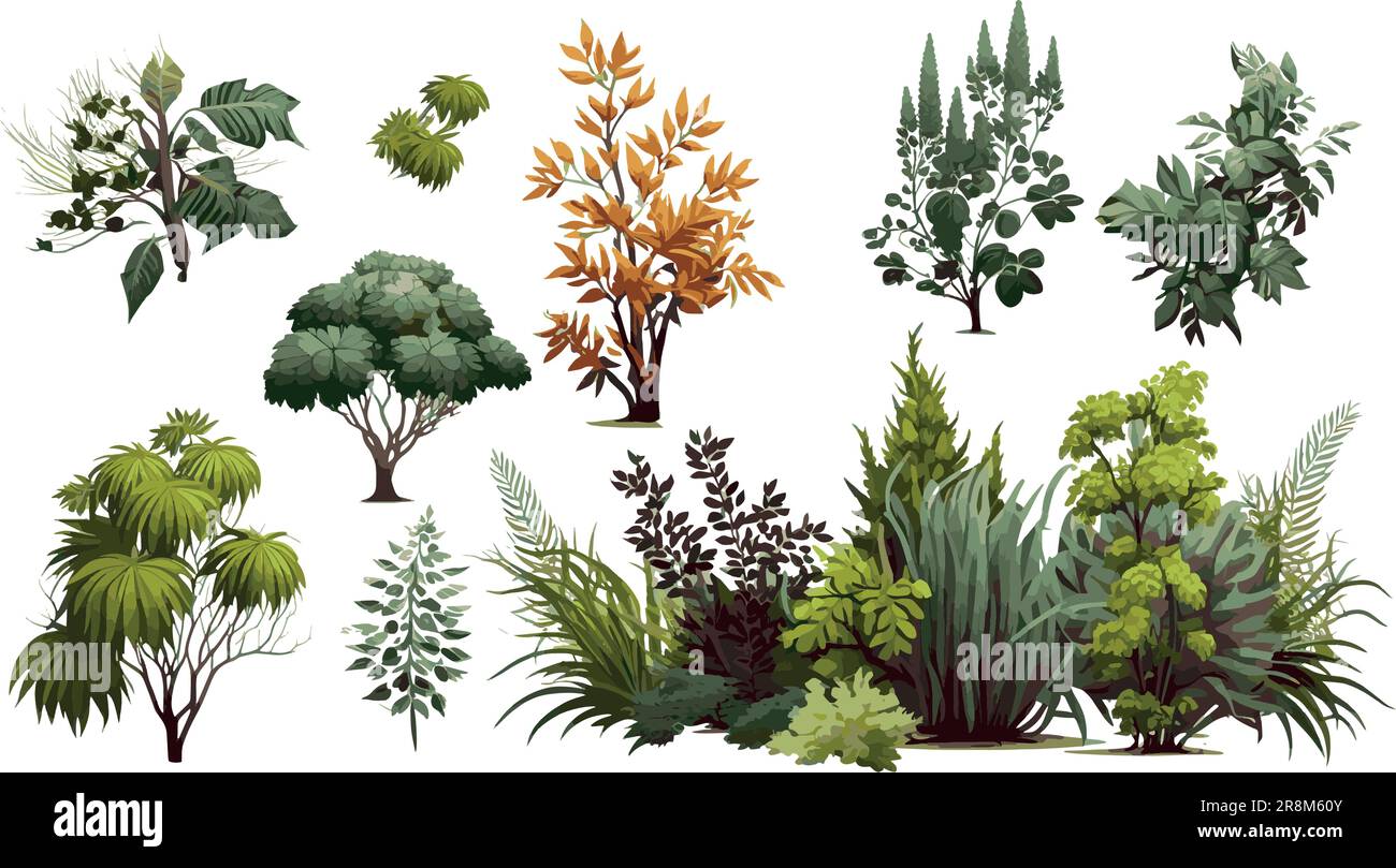 Ornamental plant shrub decorate Cut Out Stock Images & Pictures - Alamy