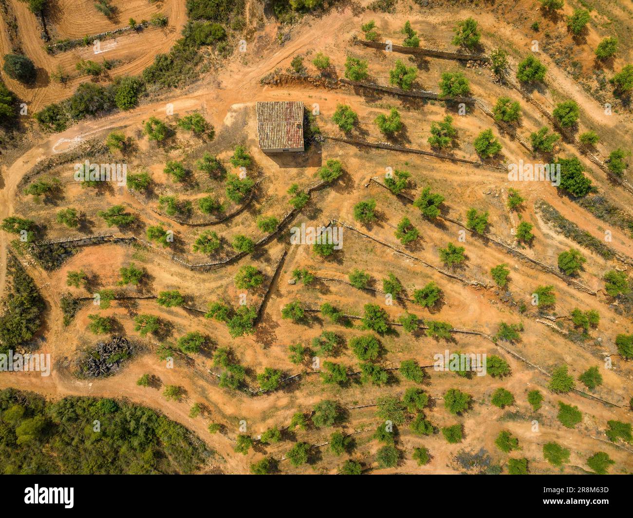 Paisaje forestal camino rural hi-res stock photography and images - Alamy