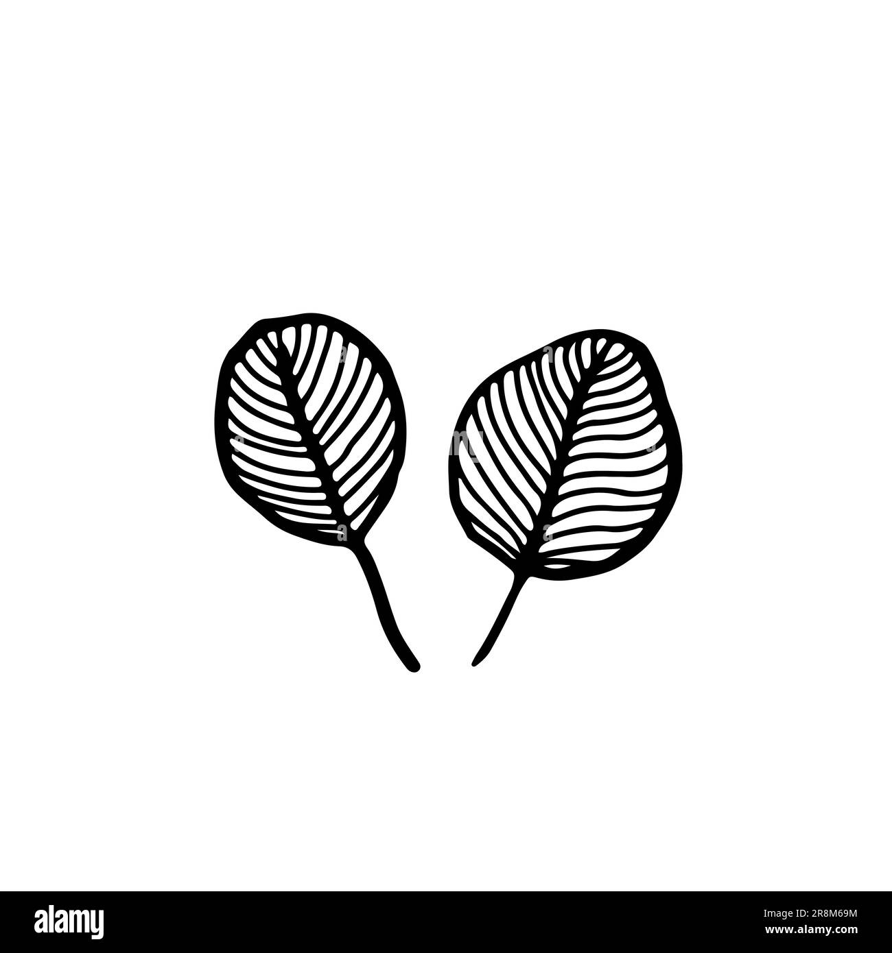 Black ink leaves, hand drawn elements on white background Stock Vector ...