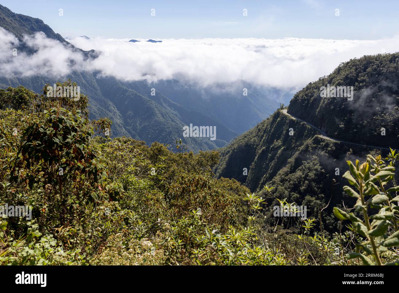 Driving the famous death road, the "Camino de la Muerte", in the ...