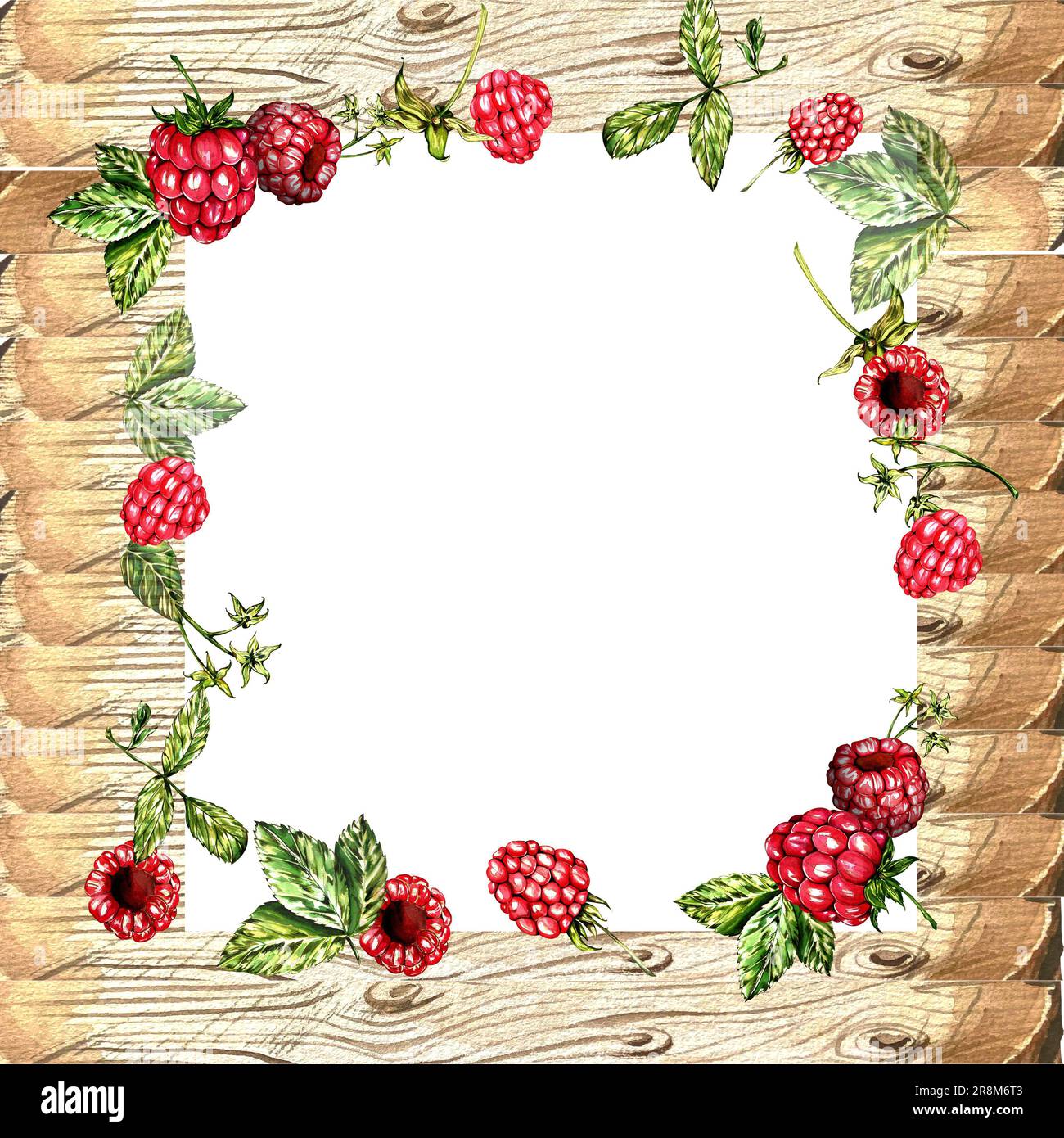 a set of watercolor elements. juicy raspberries with leaves. for ...