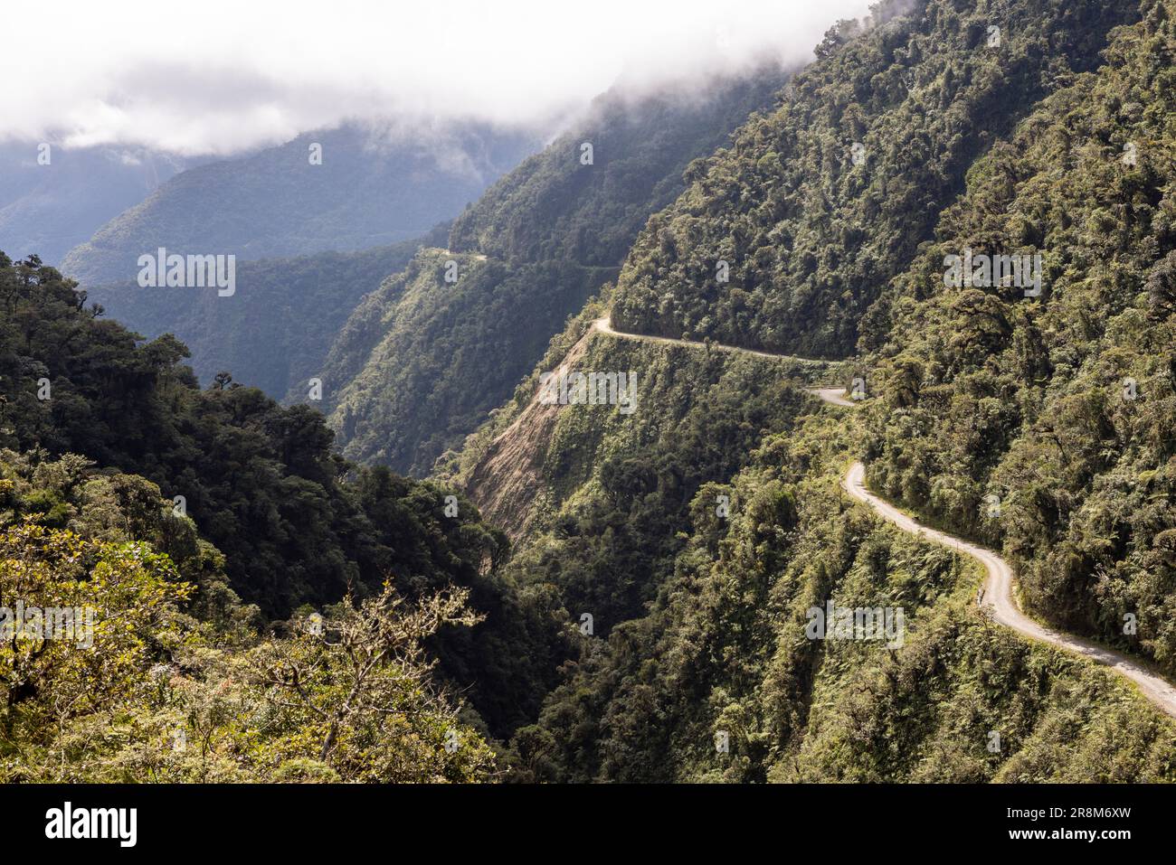 Driving the famous death road, the "Camino de la Muerte", in the ...