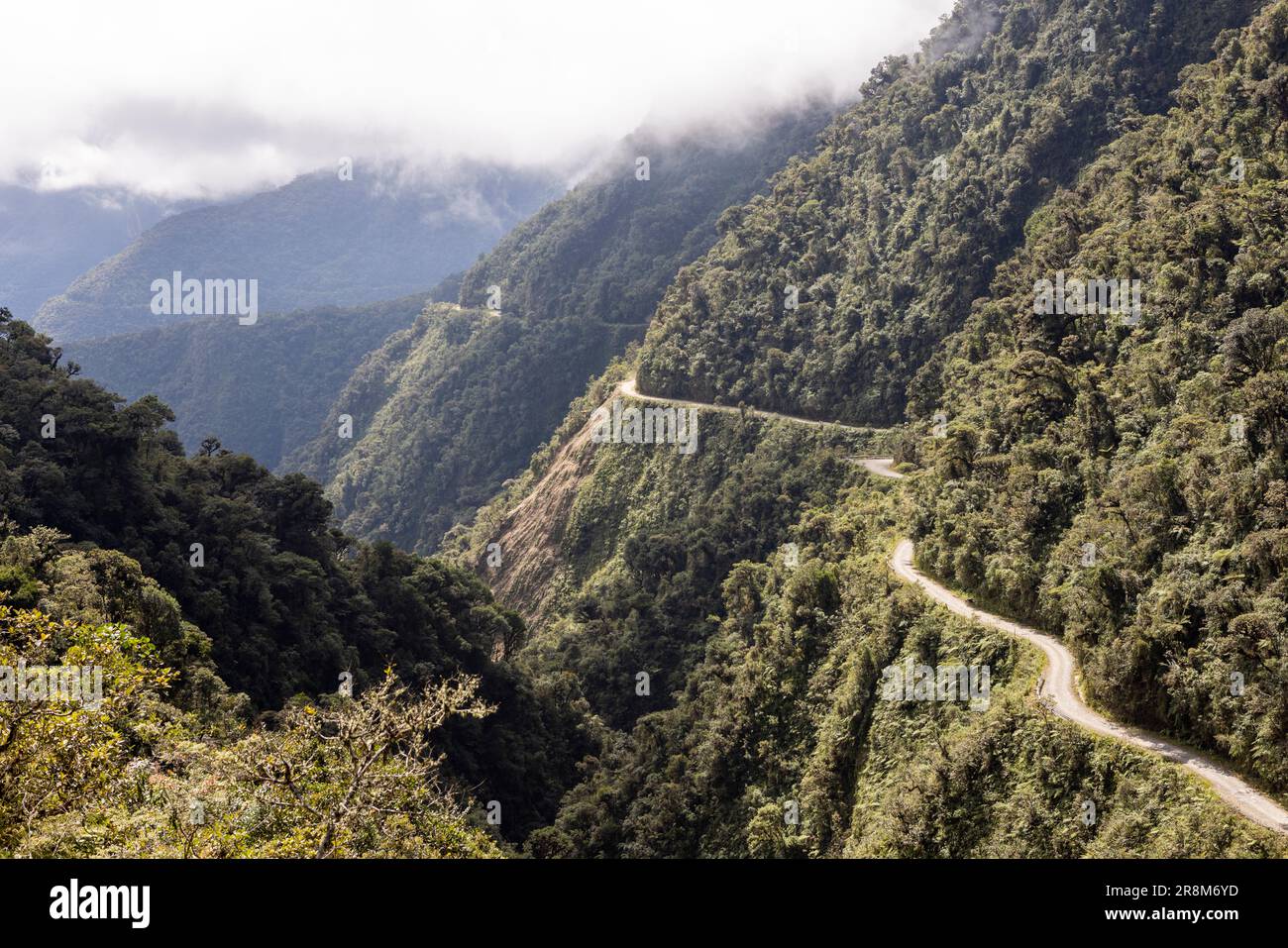 Driving the famous death road, the "Camino de la Muerte", in the ...